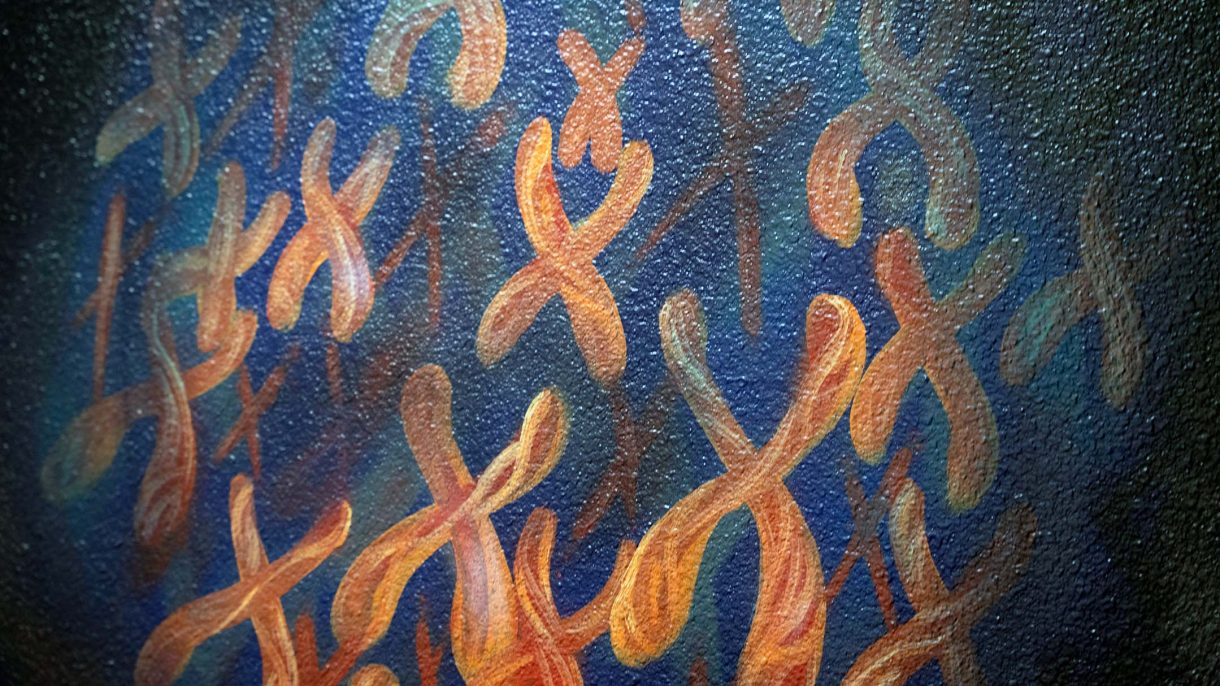 Merced College STEM (Science, Technology, Engineering & Math)