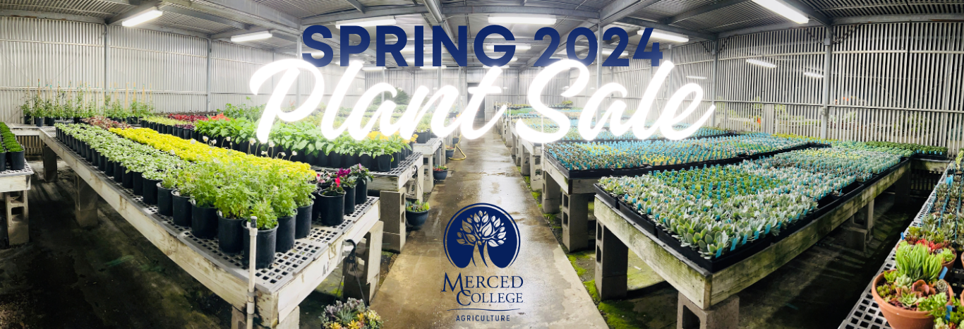 Annual Plant Sale - Merced College