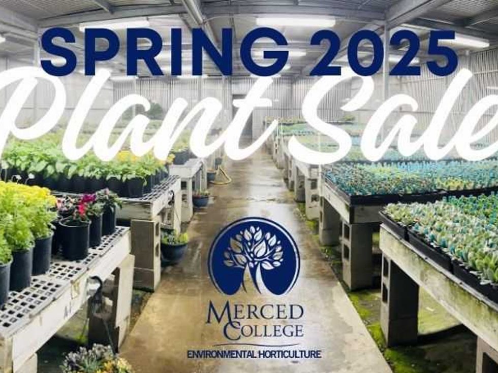 Annual Plant Sale 2025 - Merced College