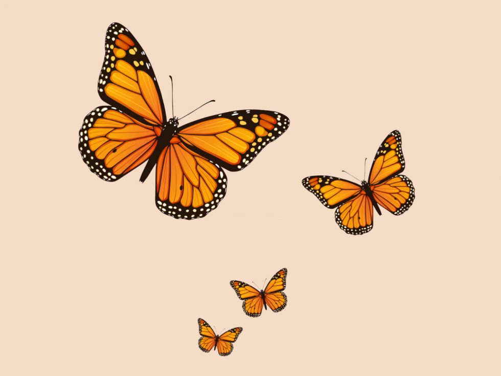 Undocumented Student Action Week Workshops - Fall 2024 - Merced College